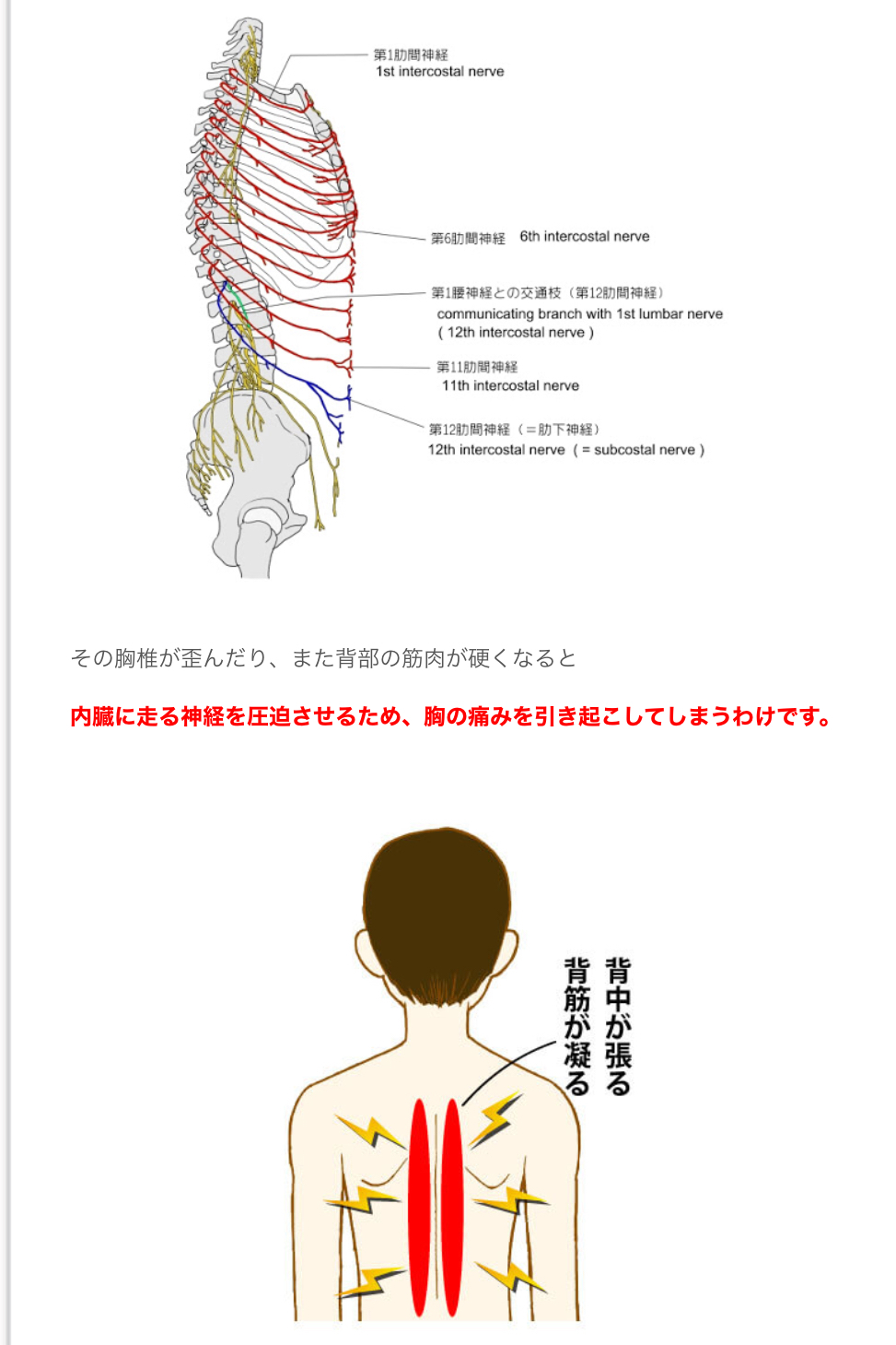 LMF成員Davy逝世終年52歲 數月前右胸刺痛 擴散背部 屢次求醫不果 - 時事台 - 香港高登討論區