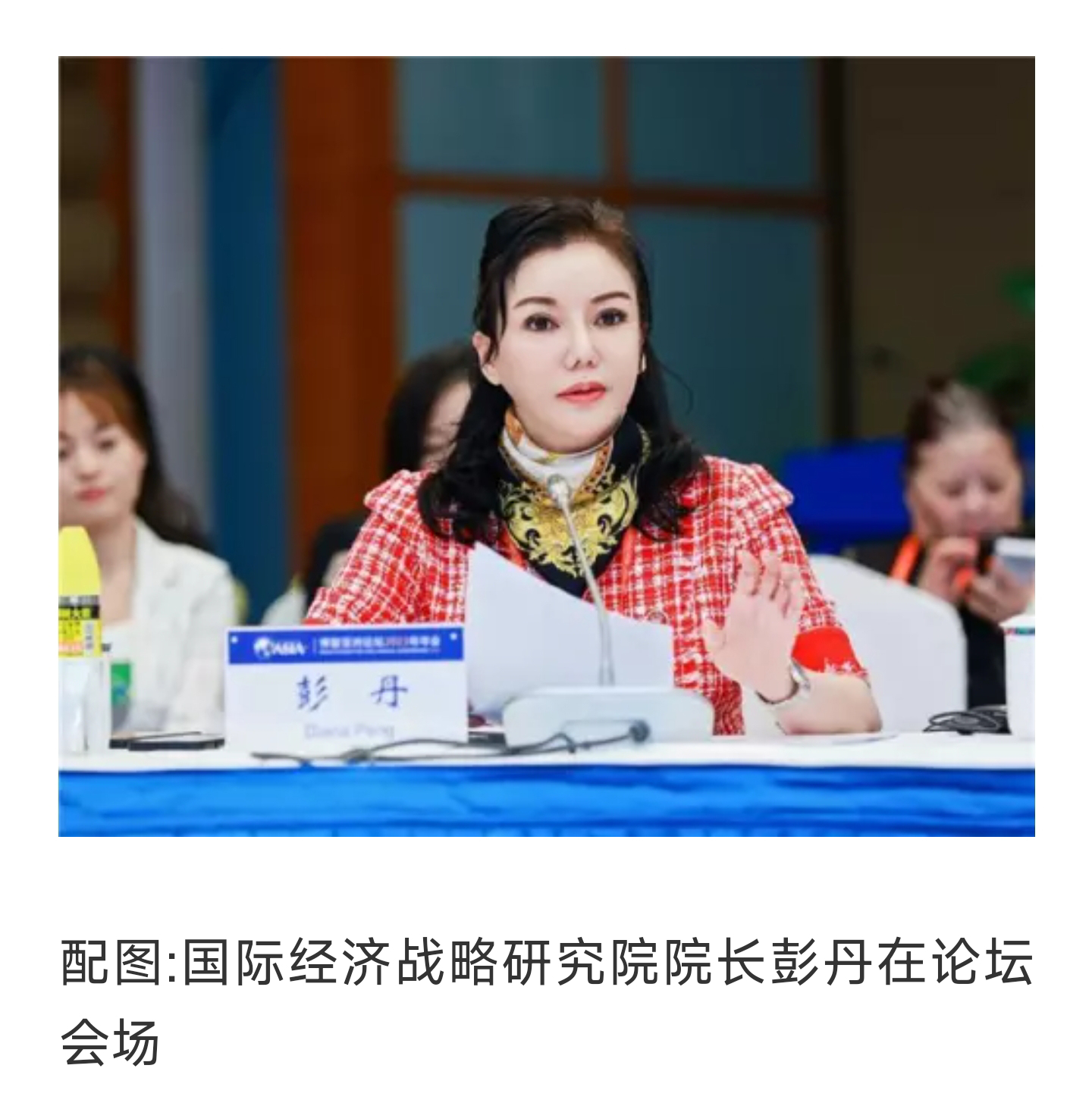 彭丹国际经济研究院院长 - 吹水台 - 香港高登討論區